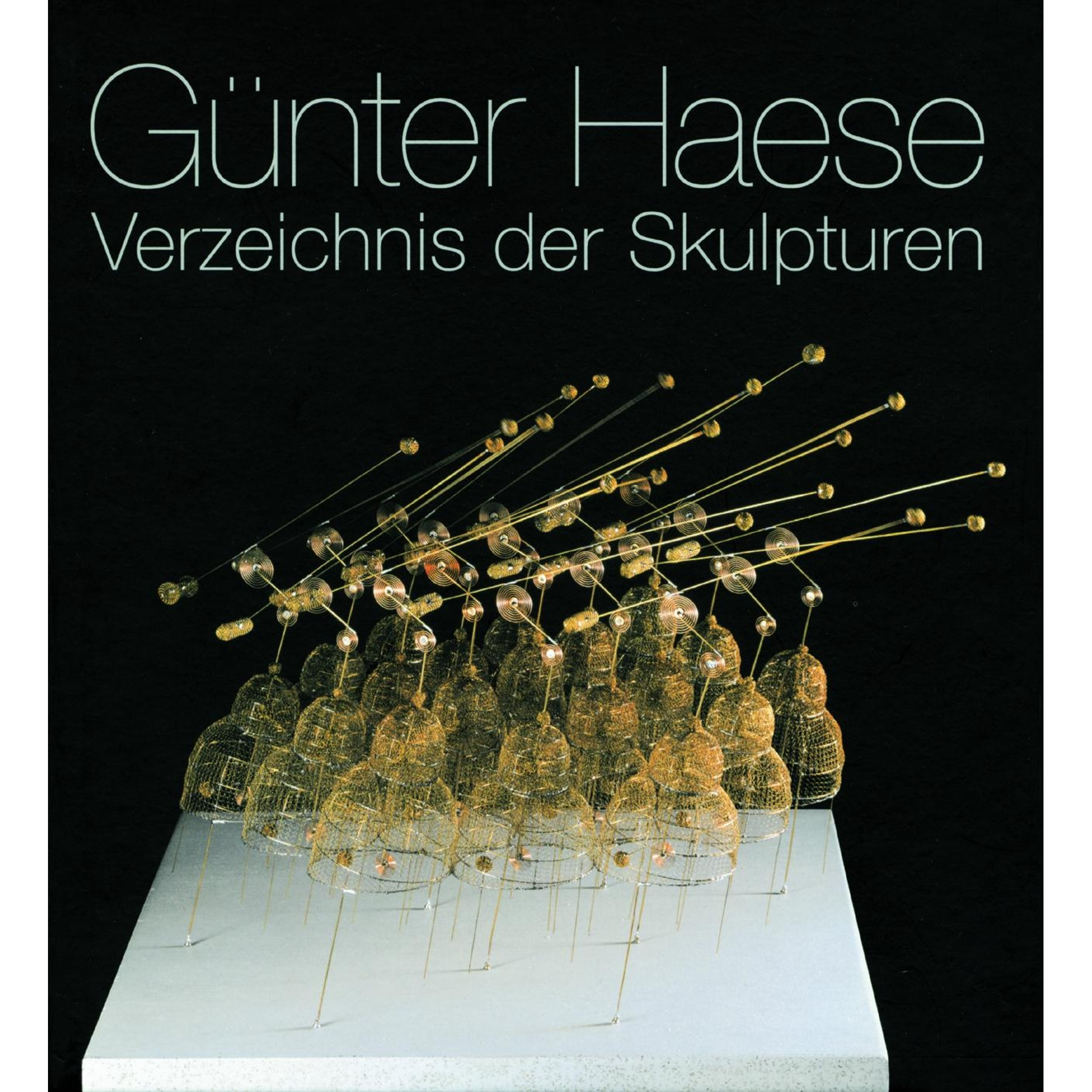 Günter Haese | Hatje Cantz Verlag